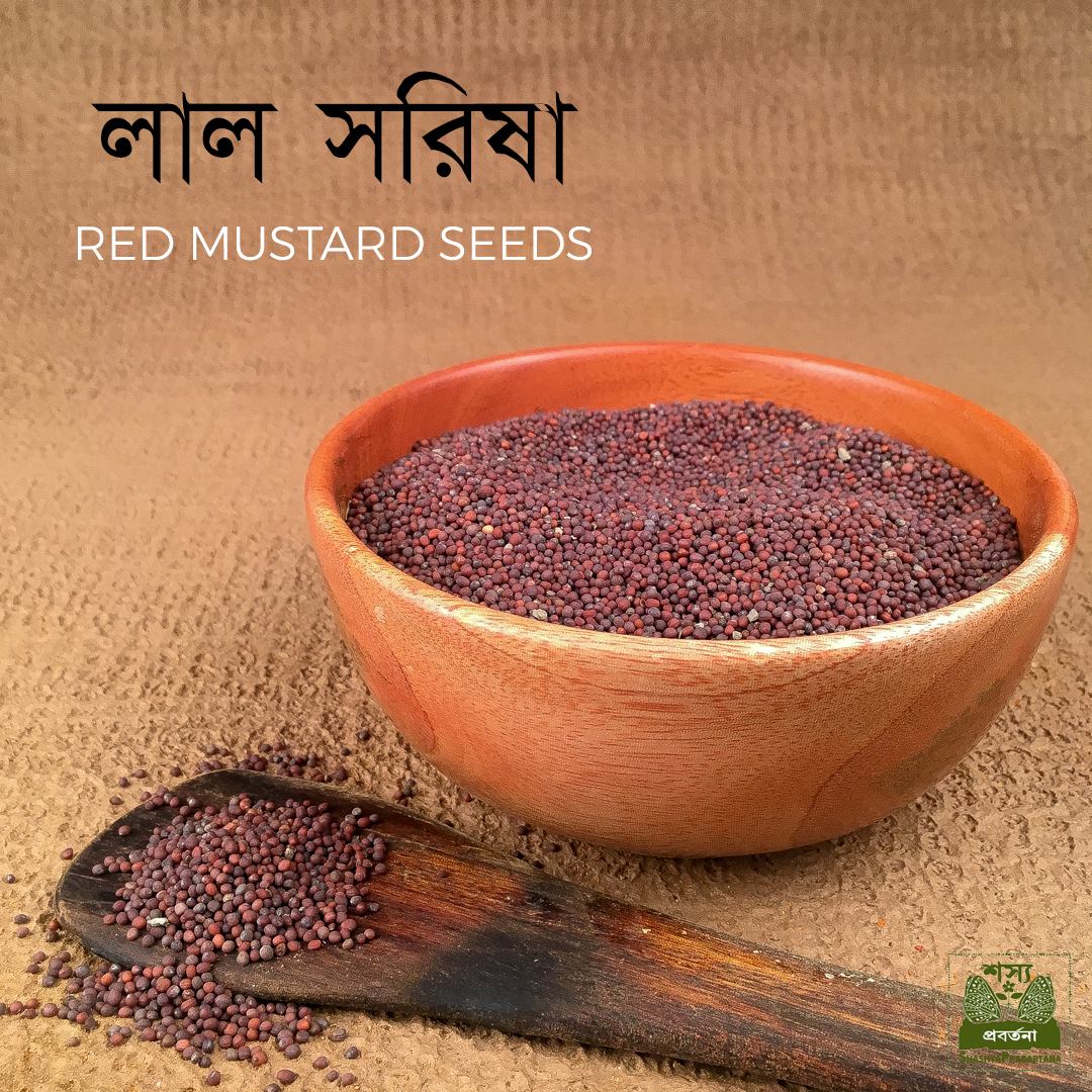 Mustard Seeds In Marathi