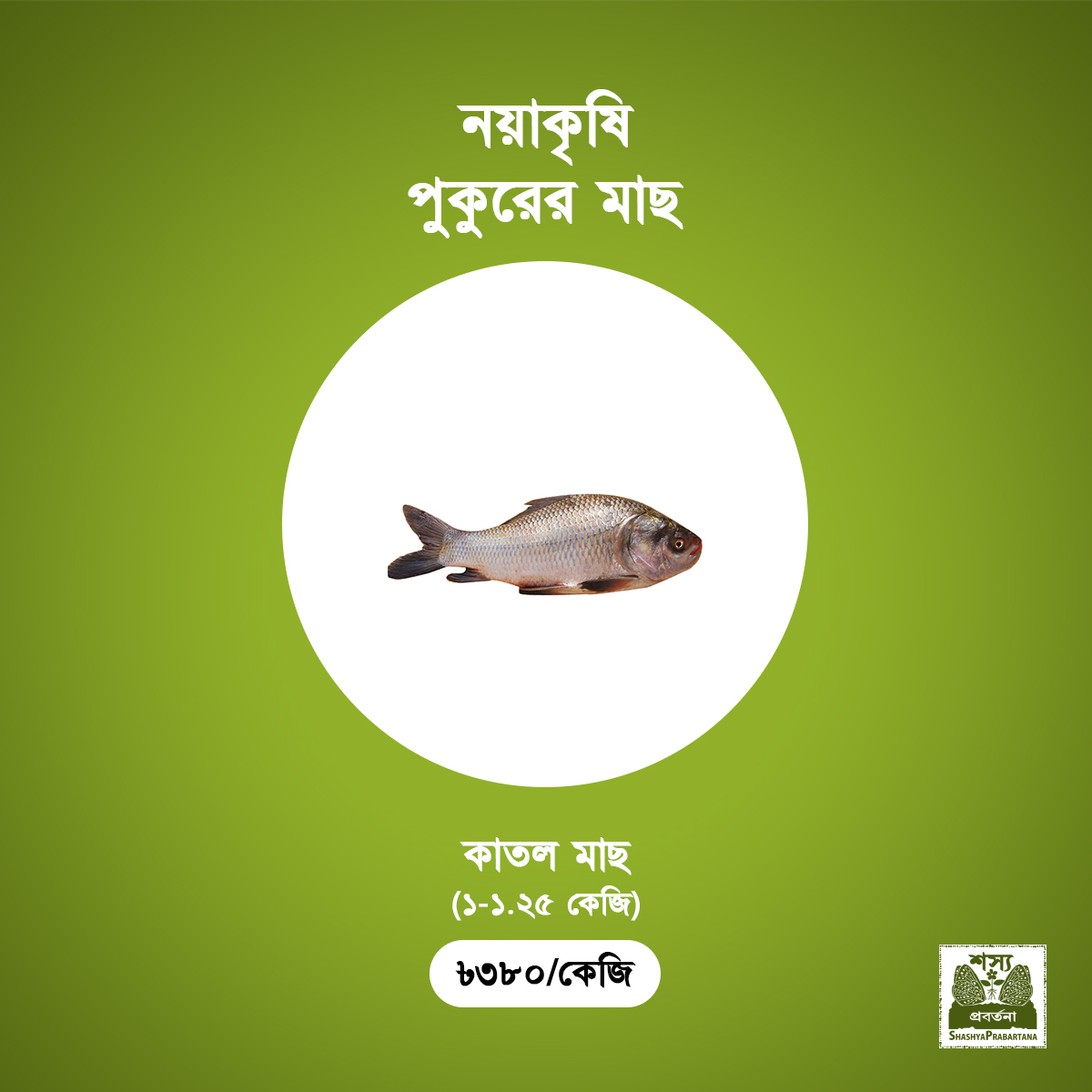 Frozen Vegetable Shingara(6 piees) - Shashya Prabartana