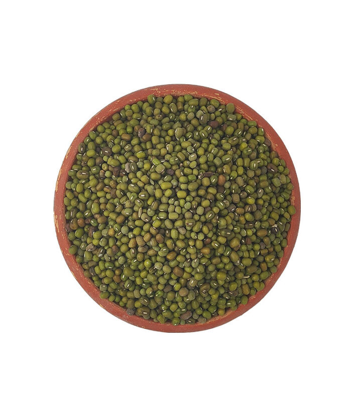 New Arrivals - Shashya Prabartana